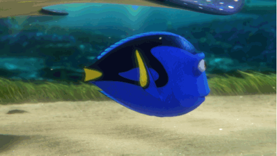 Dory Memory Gif