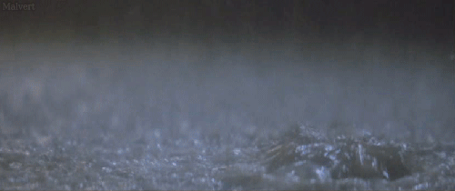 Jobeth Williams Poltergeist Gifs